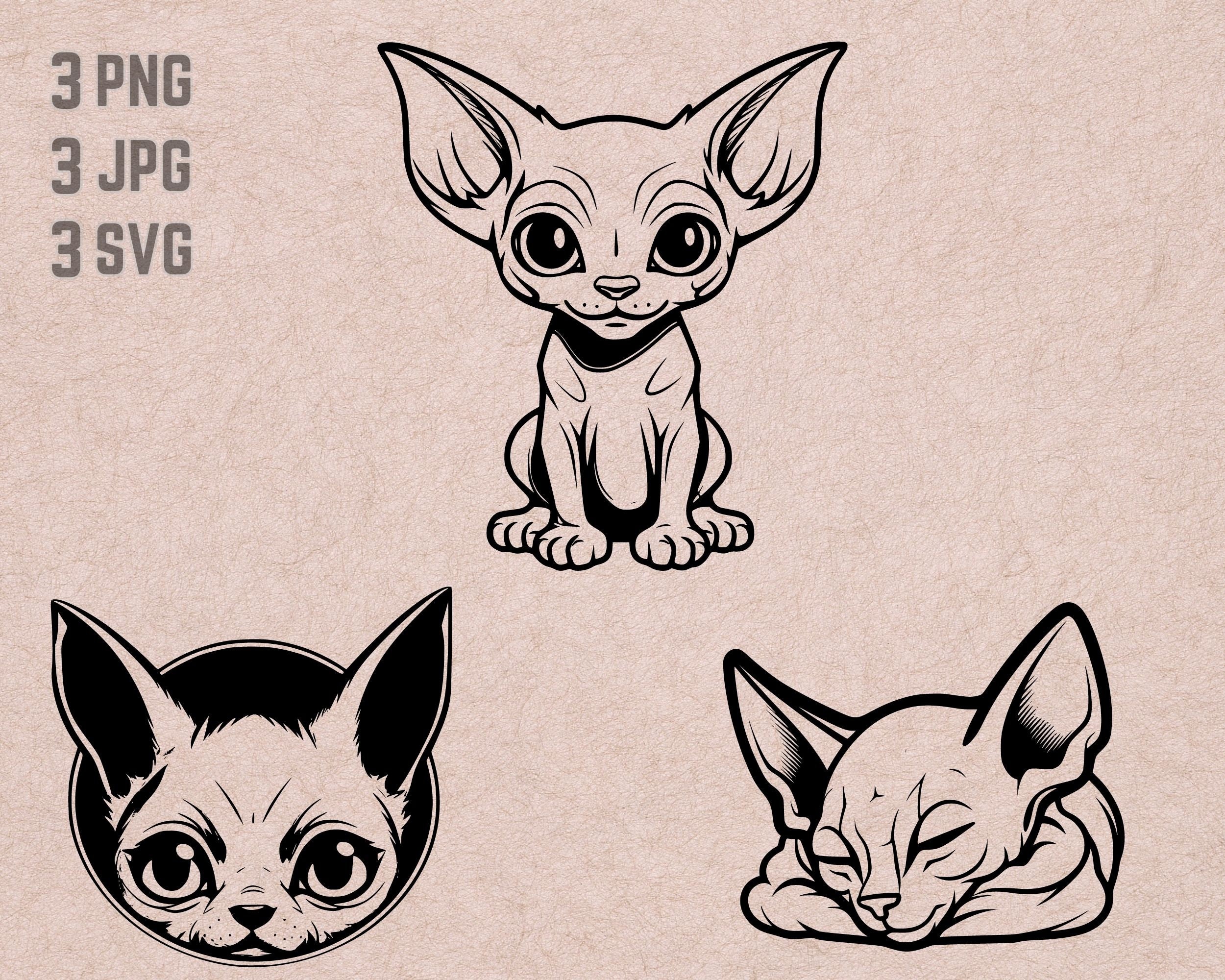 Sphynx Cat SVG Designs, Cat Logo, Cat Lover Vector, Funny Cat PNG, Cat ...