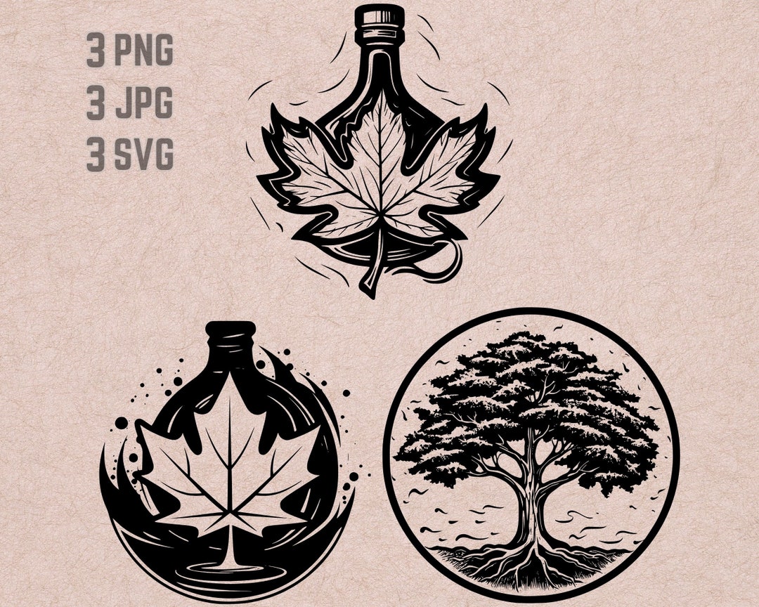 Maple Tree SVG Designs, Maple Logo, Maple Syrup Vector, Forest PNG ...