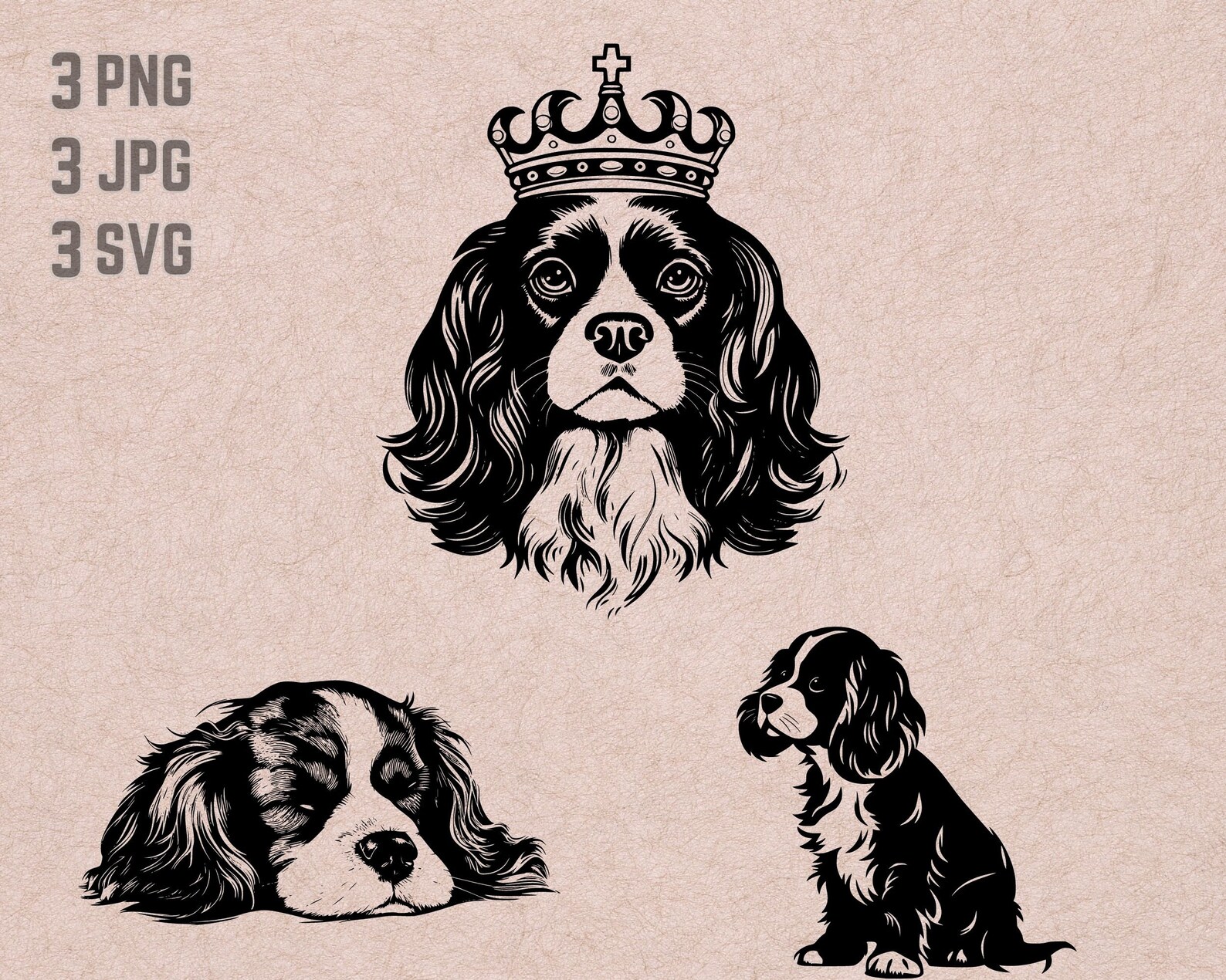 Cavalier King Charles Spaniel SVG Designs, Dog Logo, Dog Lover Vector ...