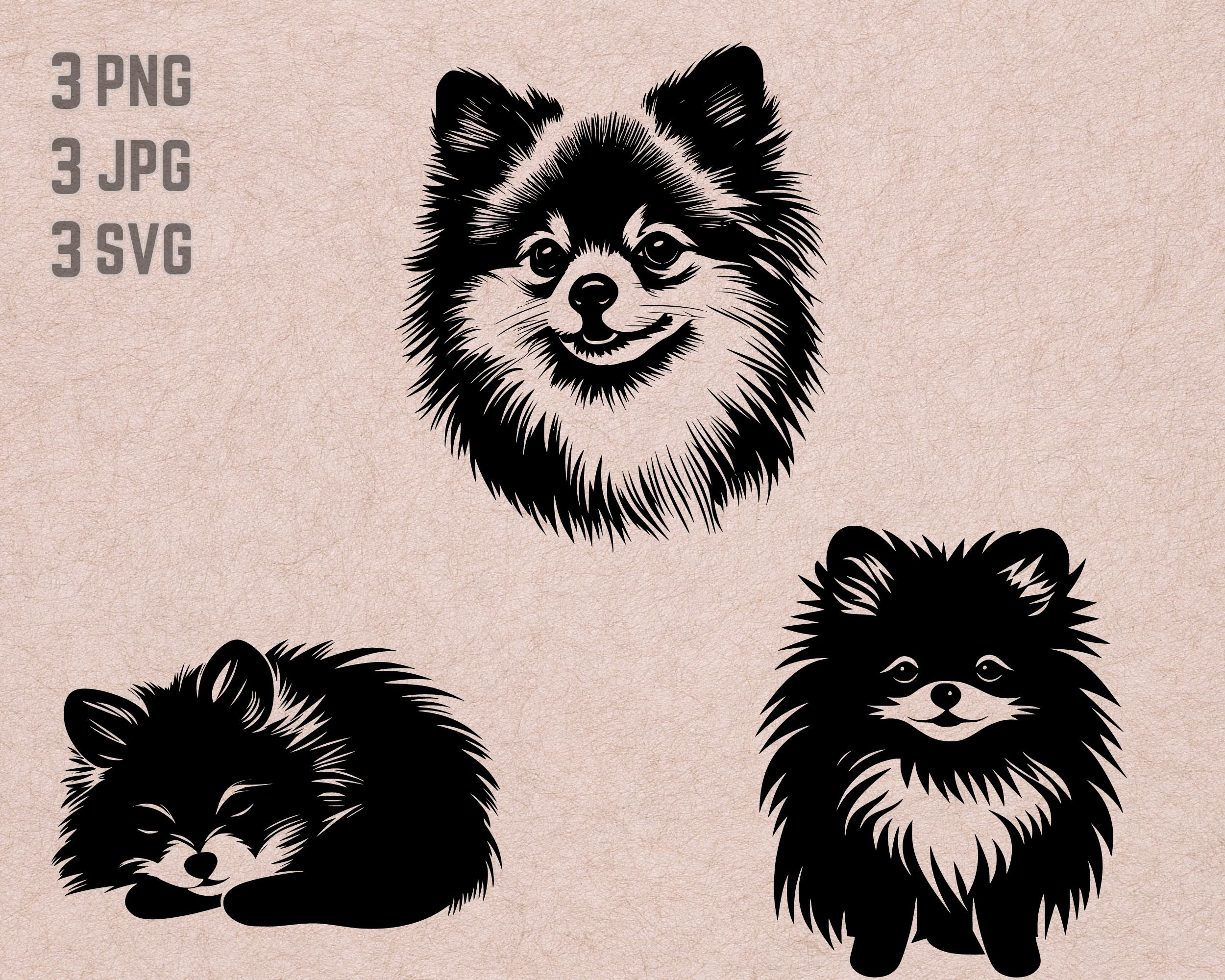 Pomeranian SVG Designs, Dog Logo, Dog Lover Vector, Funny Dog PNG, Dog ...