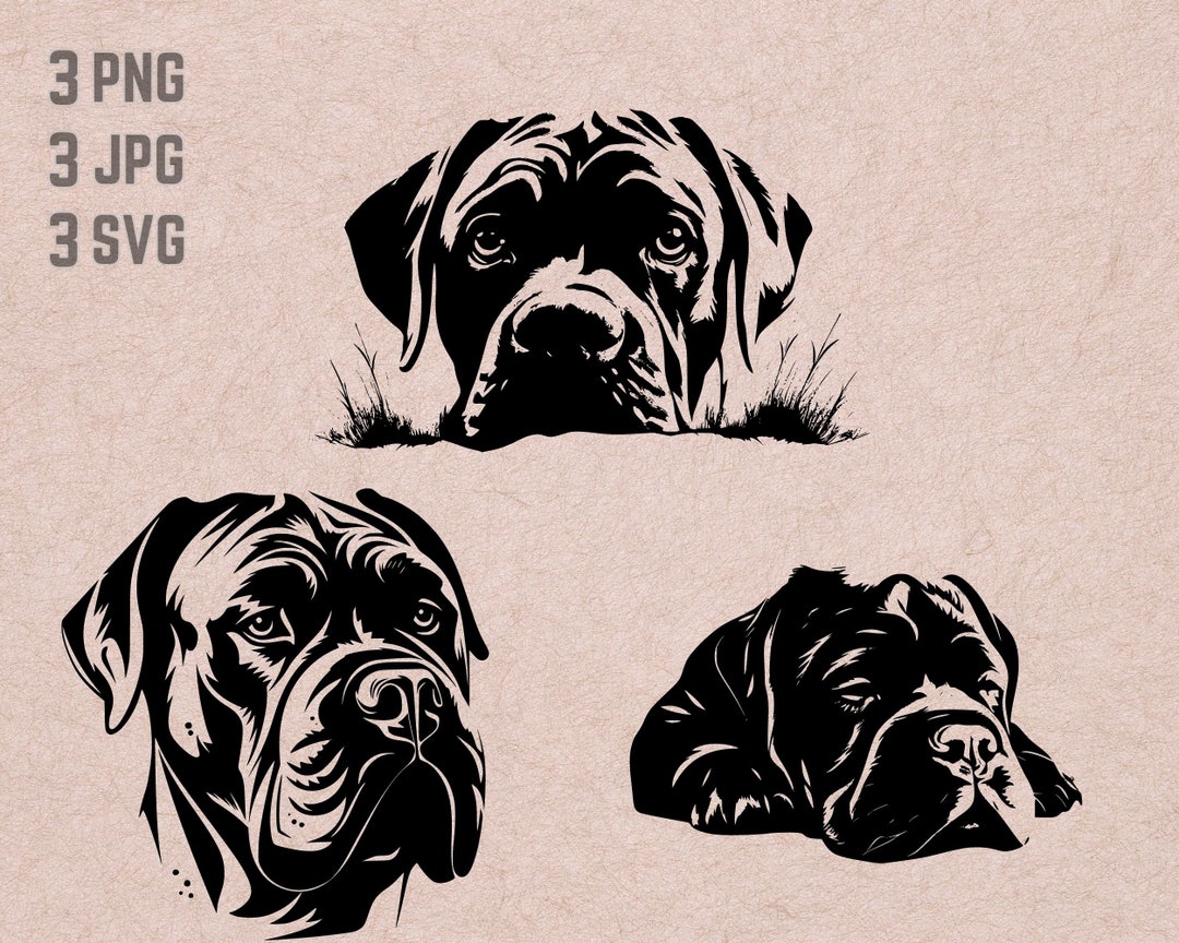 Cane Corso SVG Designs, Dog Logo, Dog Lover Vector, Funny Dog PNG, Dog ...