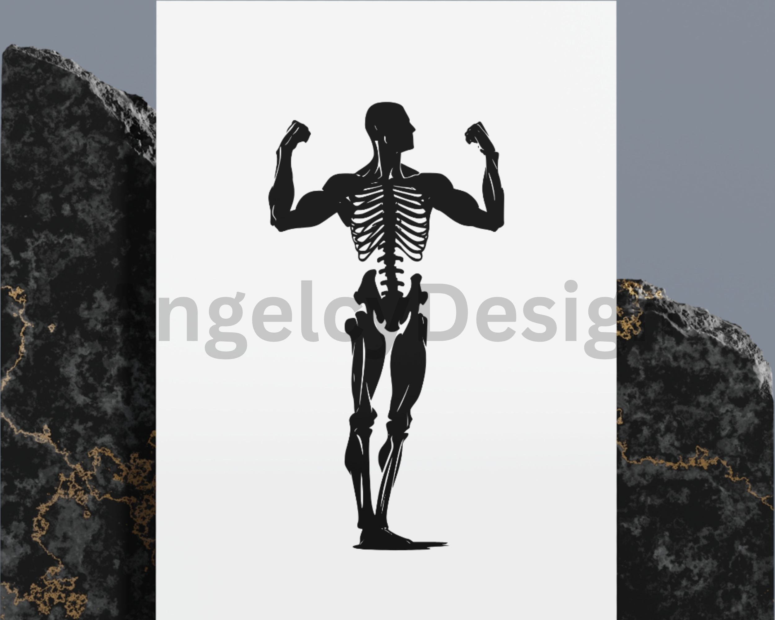 Weightlifting Skeleton Svg Designs, Gym Logo Vector, Halloween Fitness ...