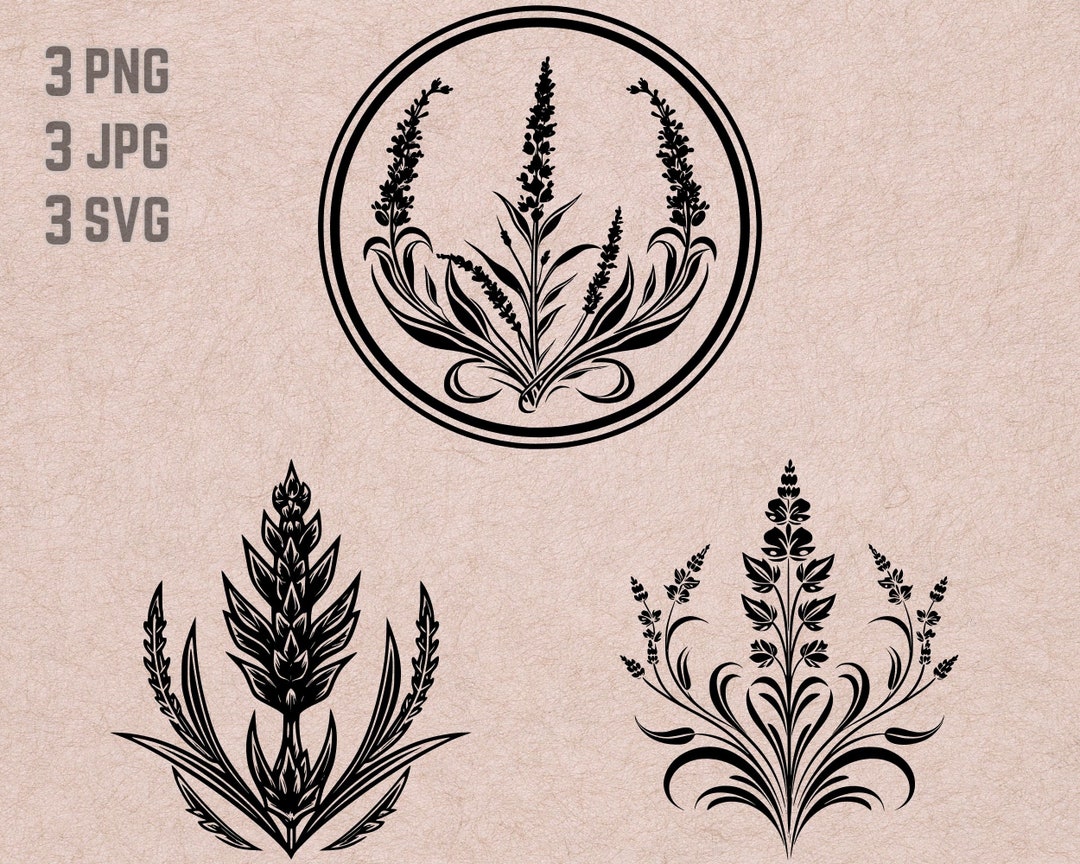 Lavender SVG Designs, Lavender Logo, Flower Vector, Lavender Bouquet ...