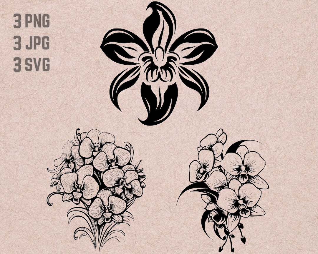 Orchid SVG Designs, Orchid Logo, Flower Vector, Orchid Bouquet Png ...