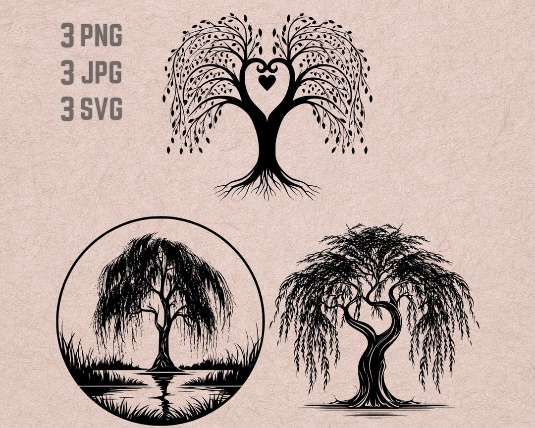 Willow Tree SVG Designs, Willow Tree Logo, Willow Tree Heart Vector ...