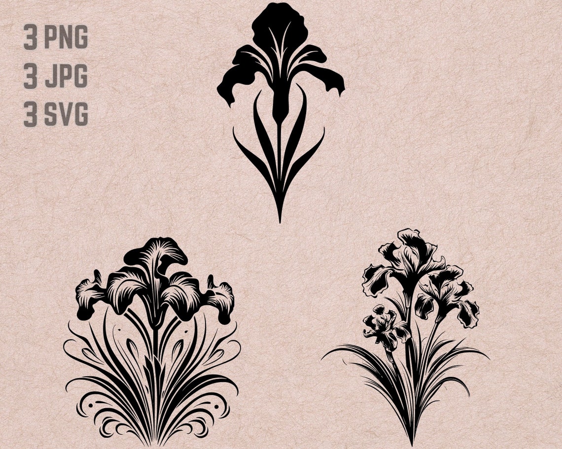 IRIS SVG Designs, Iris Logo, Flower Vector, Iris Bouquet Png, Iris ...