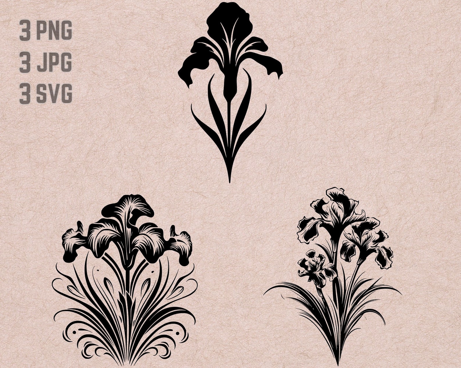 IRIS SVG Designs, Iris Logo, Flower Vector, Iris Bouquet Png, Iris ...
