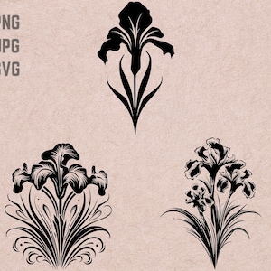 IRIS SVG Designs, Iris Logo, Flower Vector, Iris Bouquet Png, Iris ...