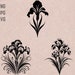 IRIS SVG Designs, Iris Logo, Flower Vector, Iris Bouquet Png, Iris ...