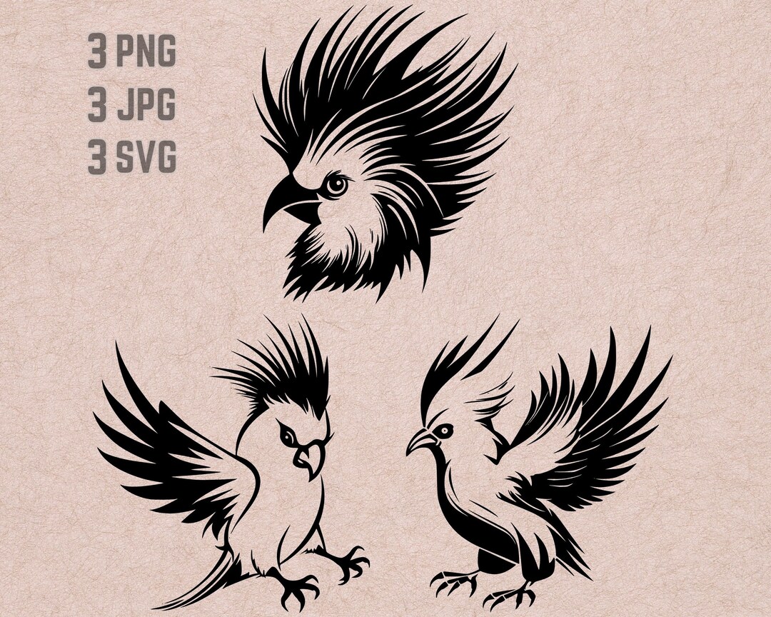 Cockatiel SVG Designs, Cockatiel Logo, Cockatiel Vector, Parrot PNG ...