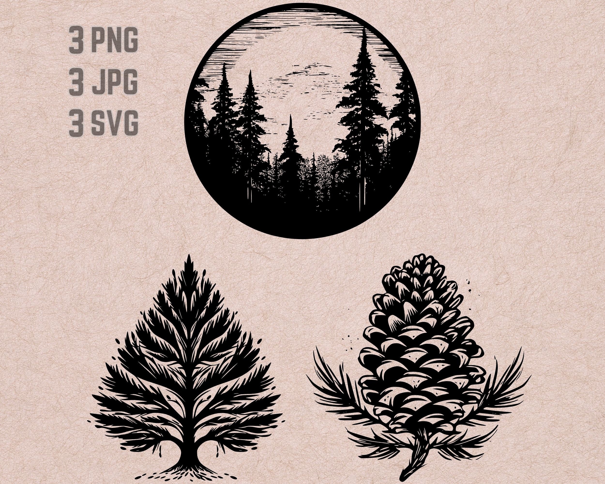 Douglas Fir Tree SVG Designs, Douglas Fir Logo, Douglas Fir Cone Vector ...