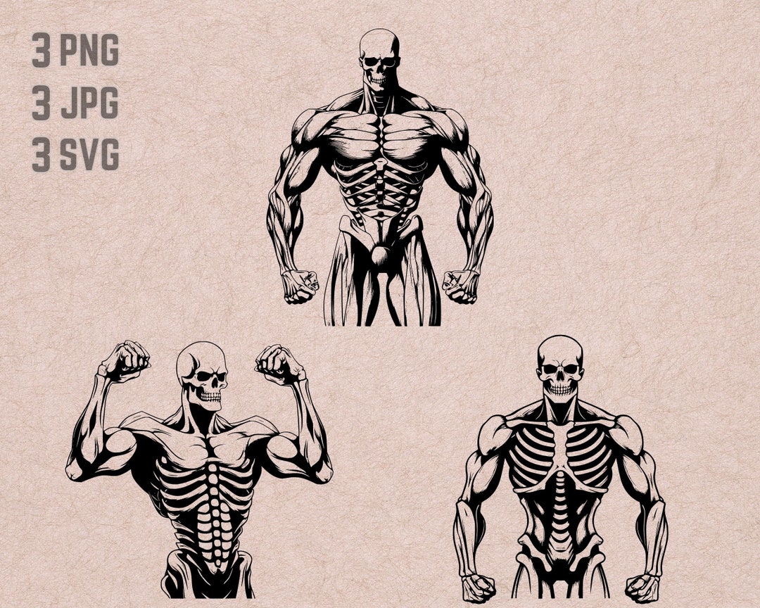 Bodybuilder Skeleton Svg Designs, Gym Logo Vector, Halloween Fitness ...