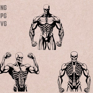 Bodybuilder Skeleton Svg Designs, Gym Logo Vector, Halloween Fitness ...