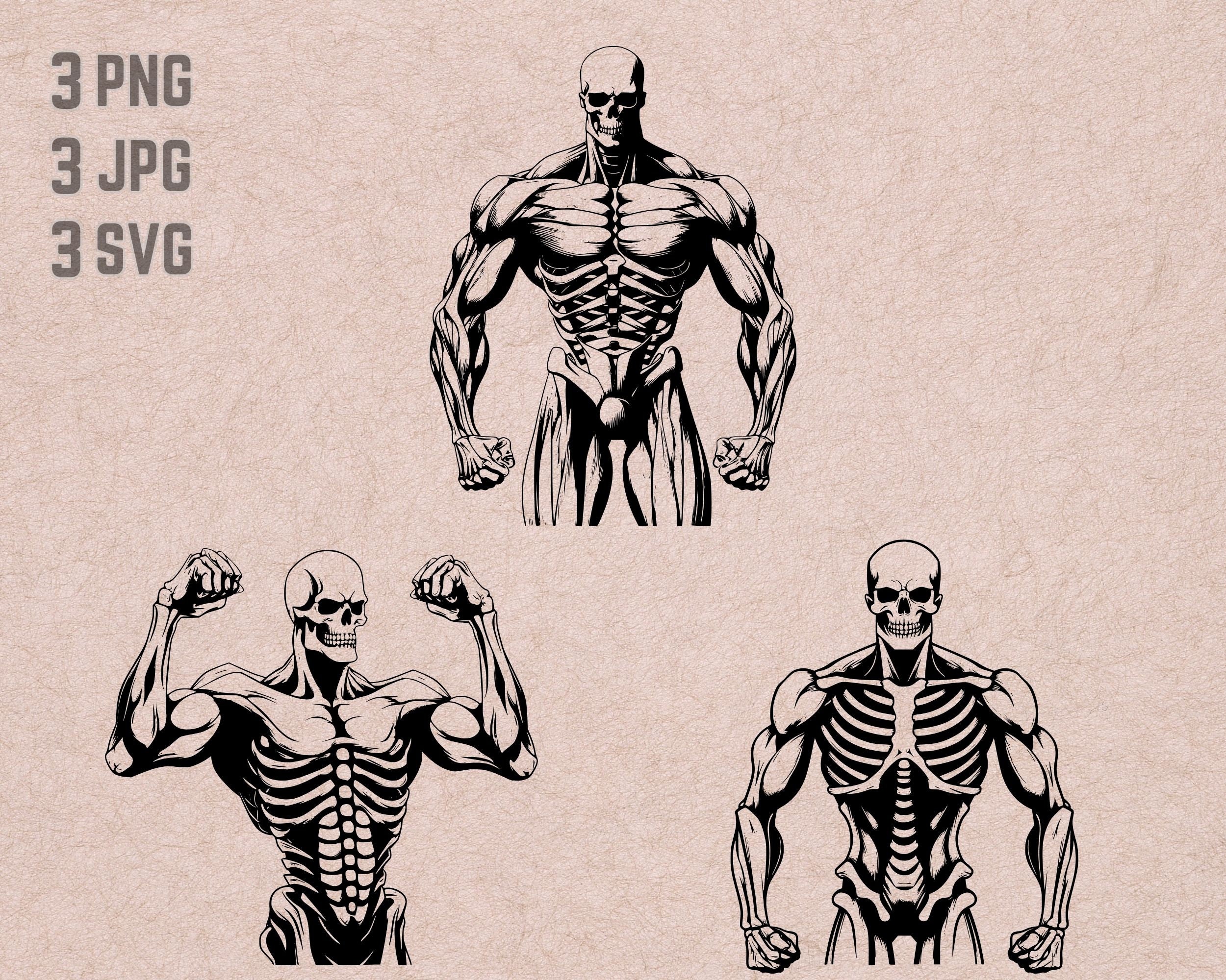 Bodybuilder Skeleton Svg Designs, Gym Logo Vector, Halloween Fitness ...