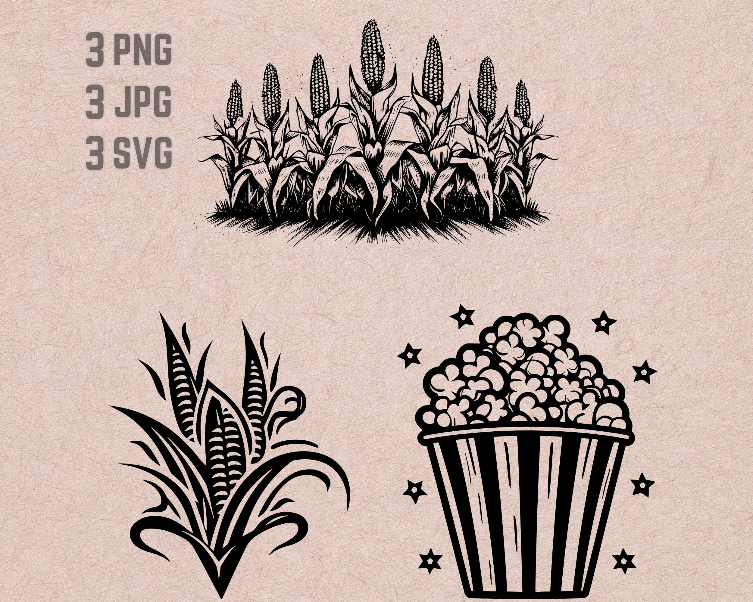 Corn SVG Designs, Corn Logo, Popcorn Vector, Corn Field Png, Corn ...