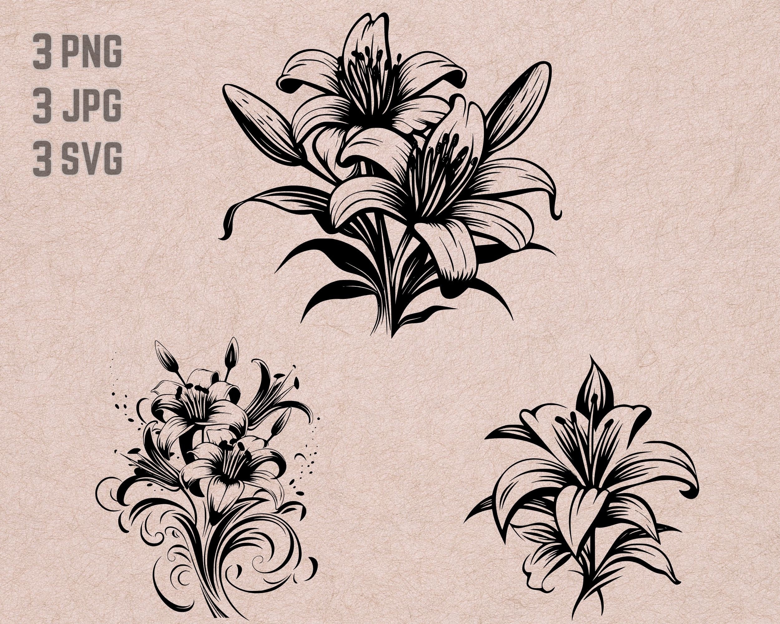 Lilies SVG Designs, Lilies Logo, Flower Vector, Lilies Bouquet PNG ...