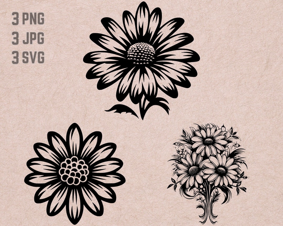 Daisy SVG Designs, Daisy Logo, Flower Vector, Daisy Bouquet PNG, Daisy ...