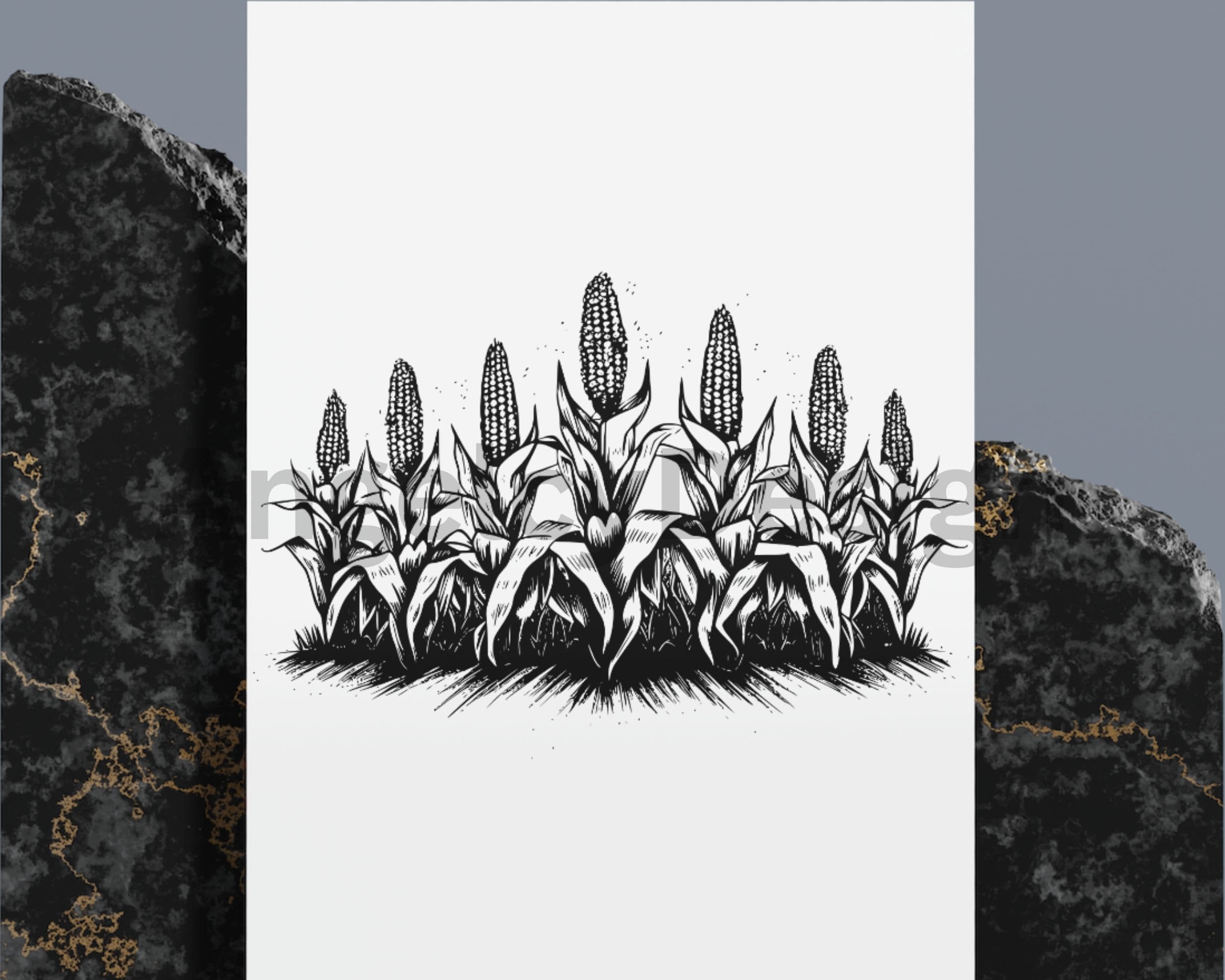 Corn SVG Designs, Corn Logo, Popcorn Vector, Corn Field Png, Corn ...