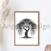 Willow Tree SVG Designs, Willow Tree Logo, Willow Tree Heart Vector ...