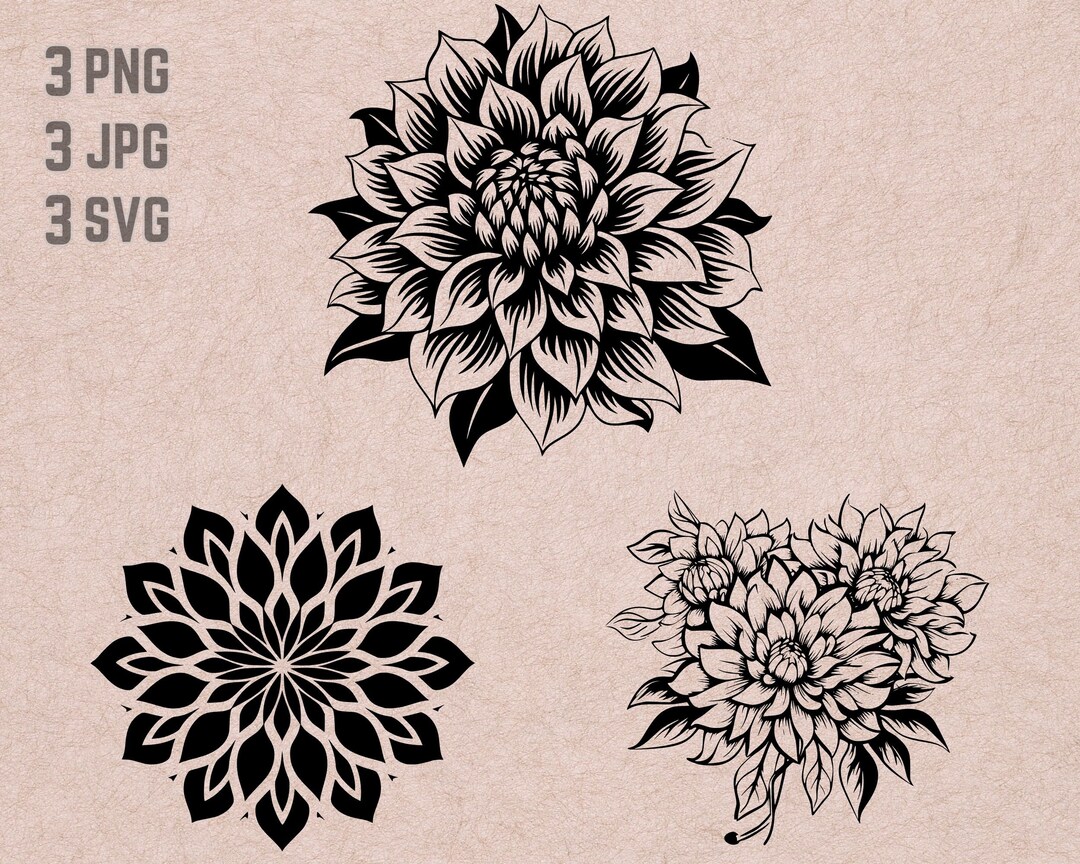 Dahlia SVG Designs, Dahlia Logo, Flower Vector, Dahlia Bouquet Png ...