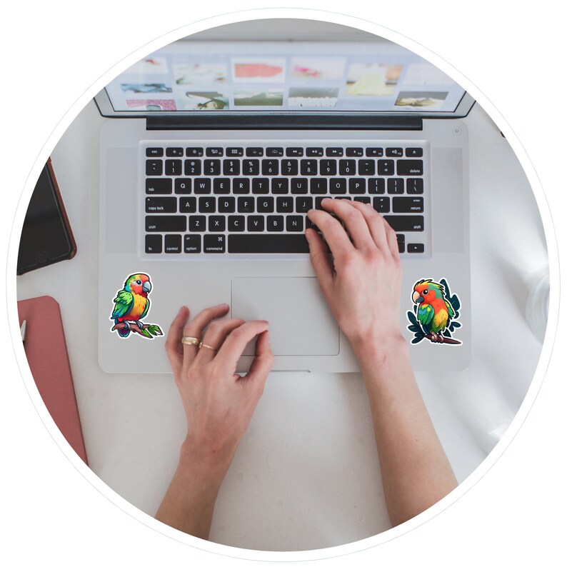 Cute Parrot | Cute Parrot Sticker | Cute Parrots Digital Sticker ...