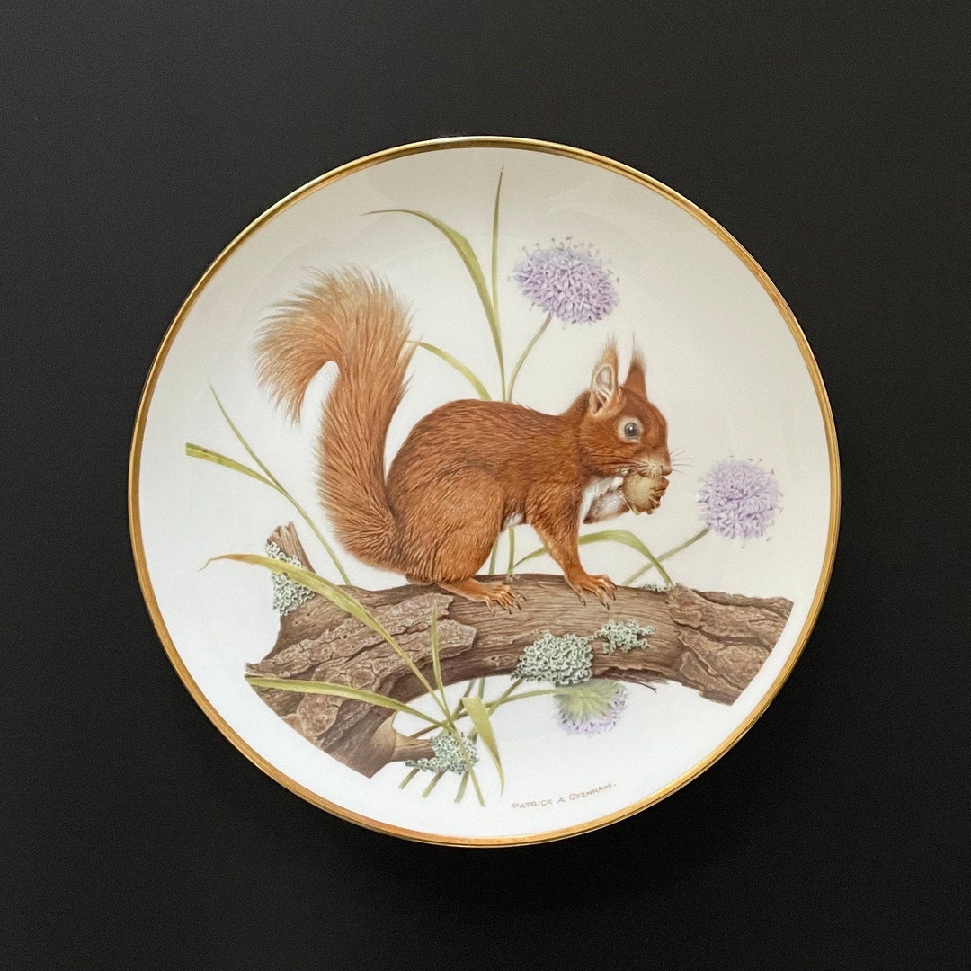 Wedgwood Limited Edition the Wildlife of Great Britain Red Squirrel by ...