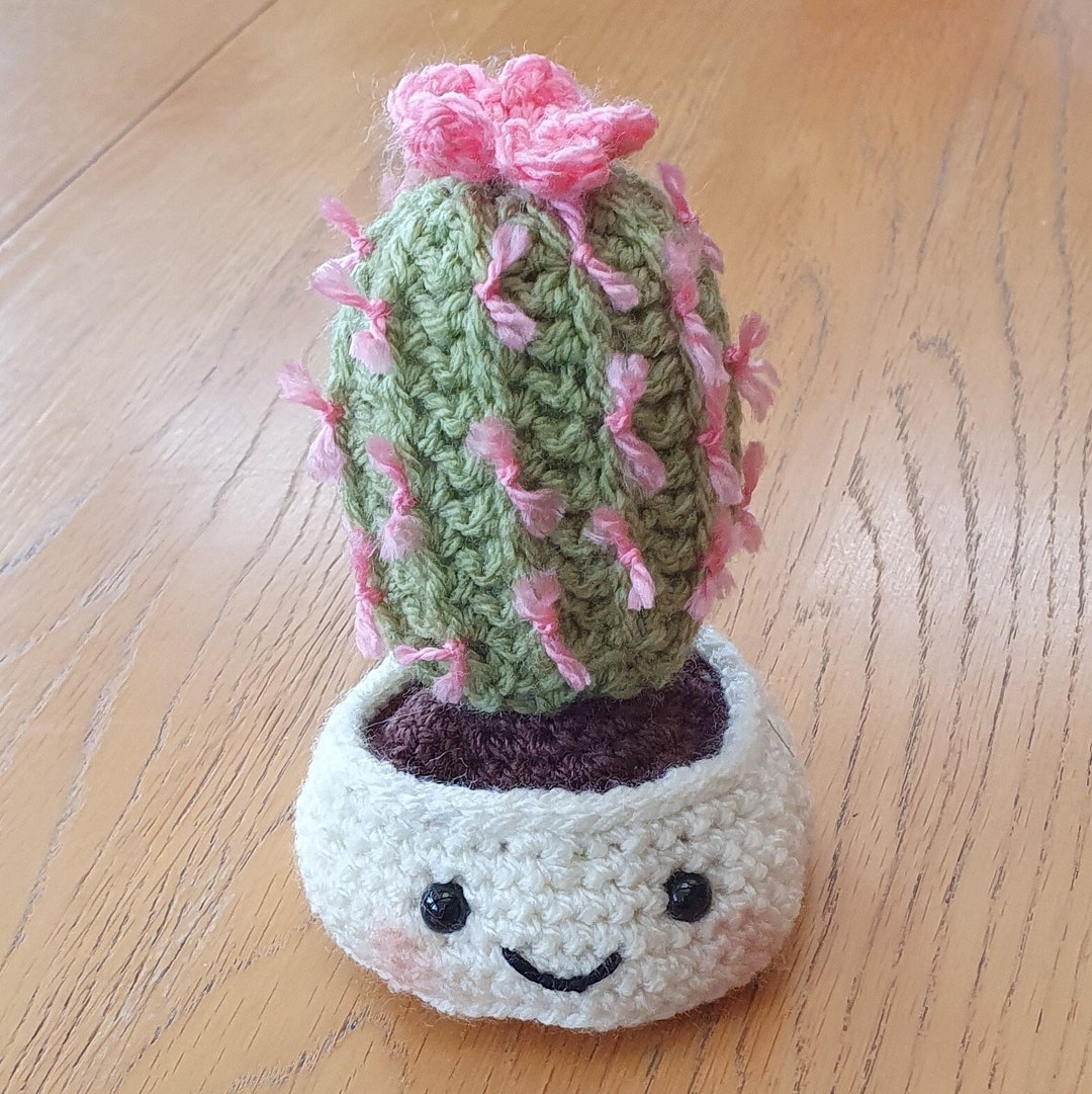Amigurumi Crochet Barrel Cactus - Etsy UK