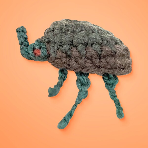 Crochet Bugs Pattern - Etsy UK