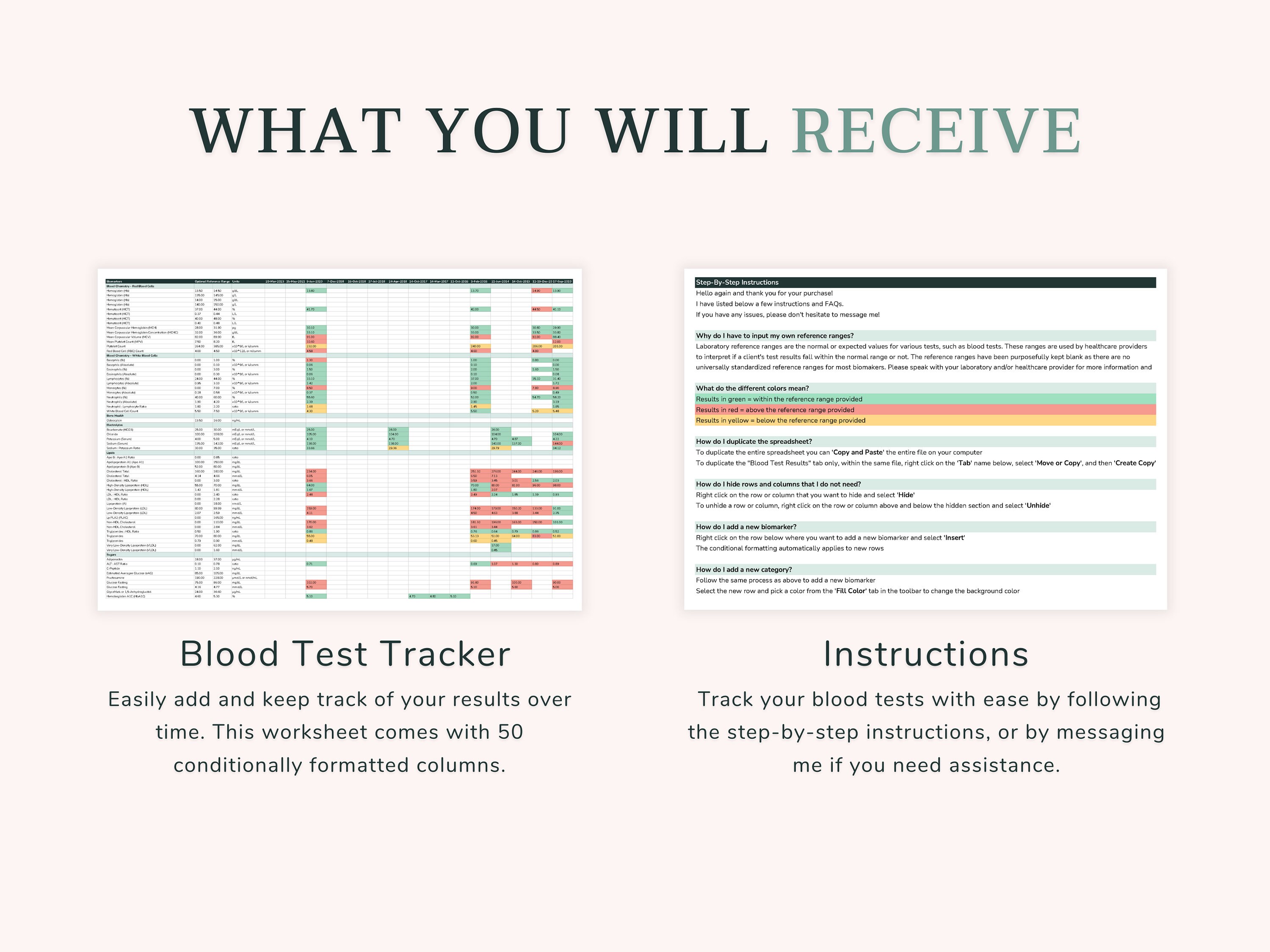 Blood Test Tracker for Excel Medical Spreadsheet Medical Organizer ...