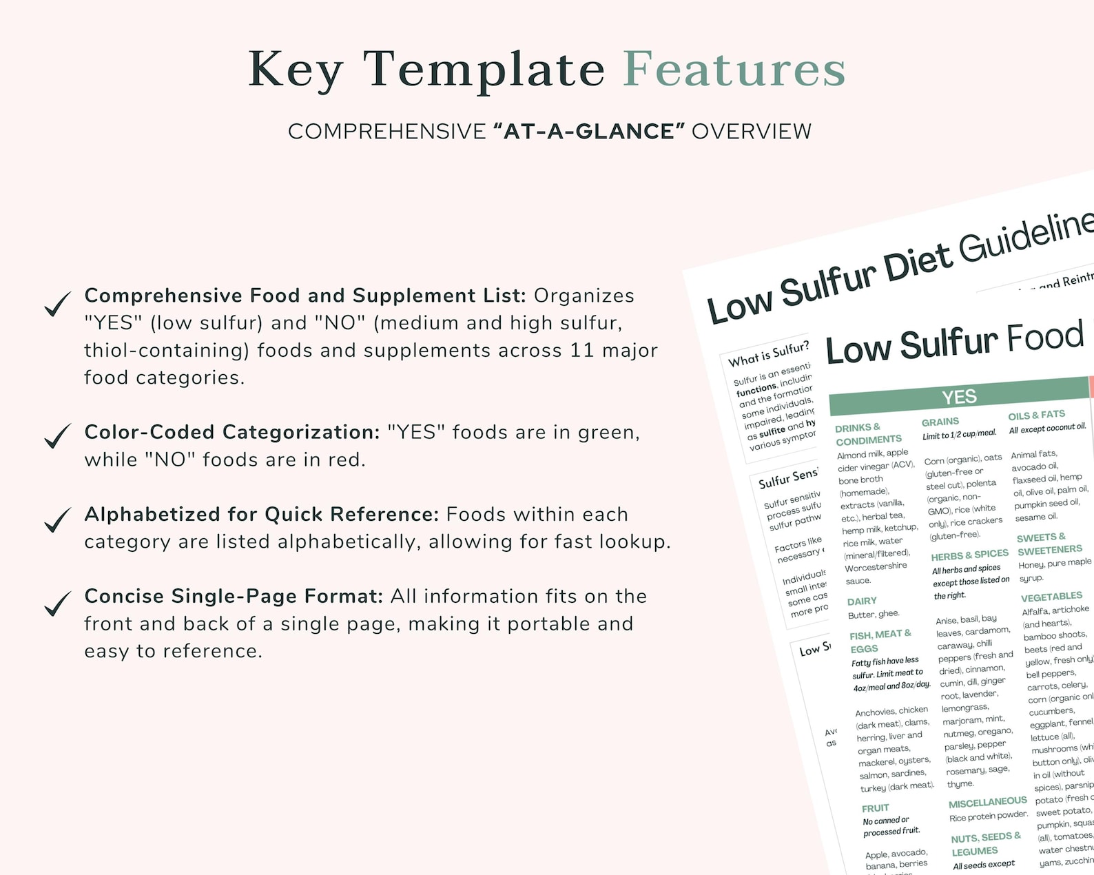 Printable Low Sulfur Food List Sulfur Intolerance, H2S SIBO, Low Sulfur ...