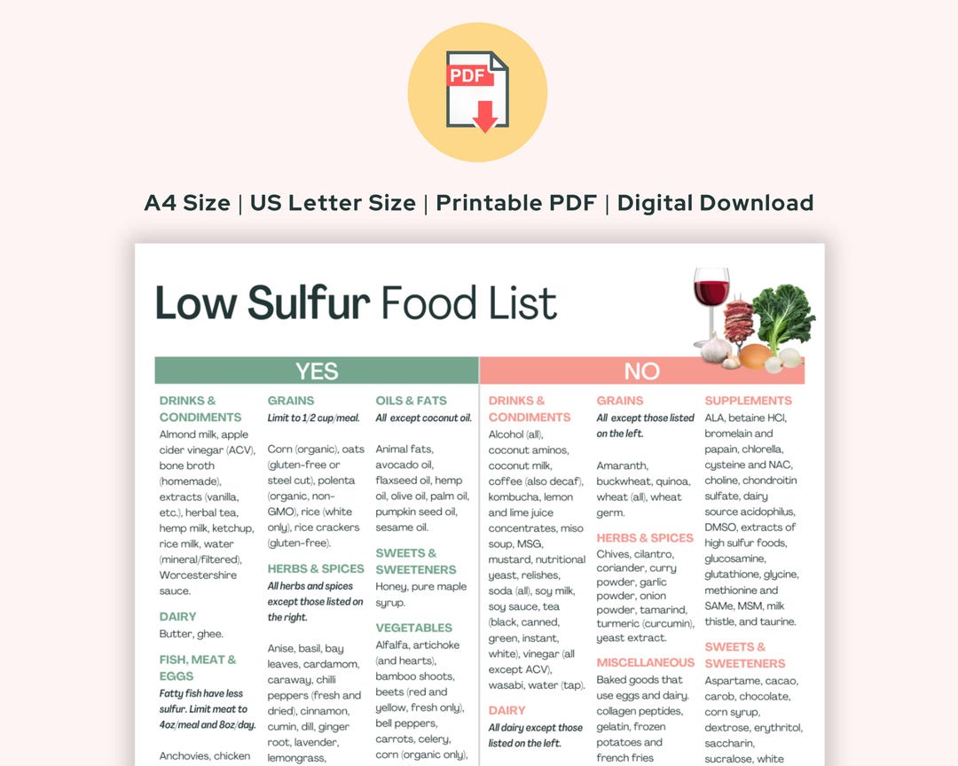 Printable Low Sulfur Food List | Sulfur Intolerance, H2S SIBO, Low ...