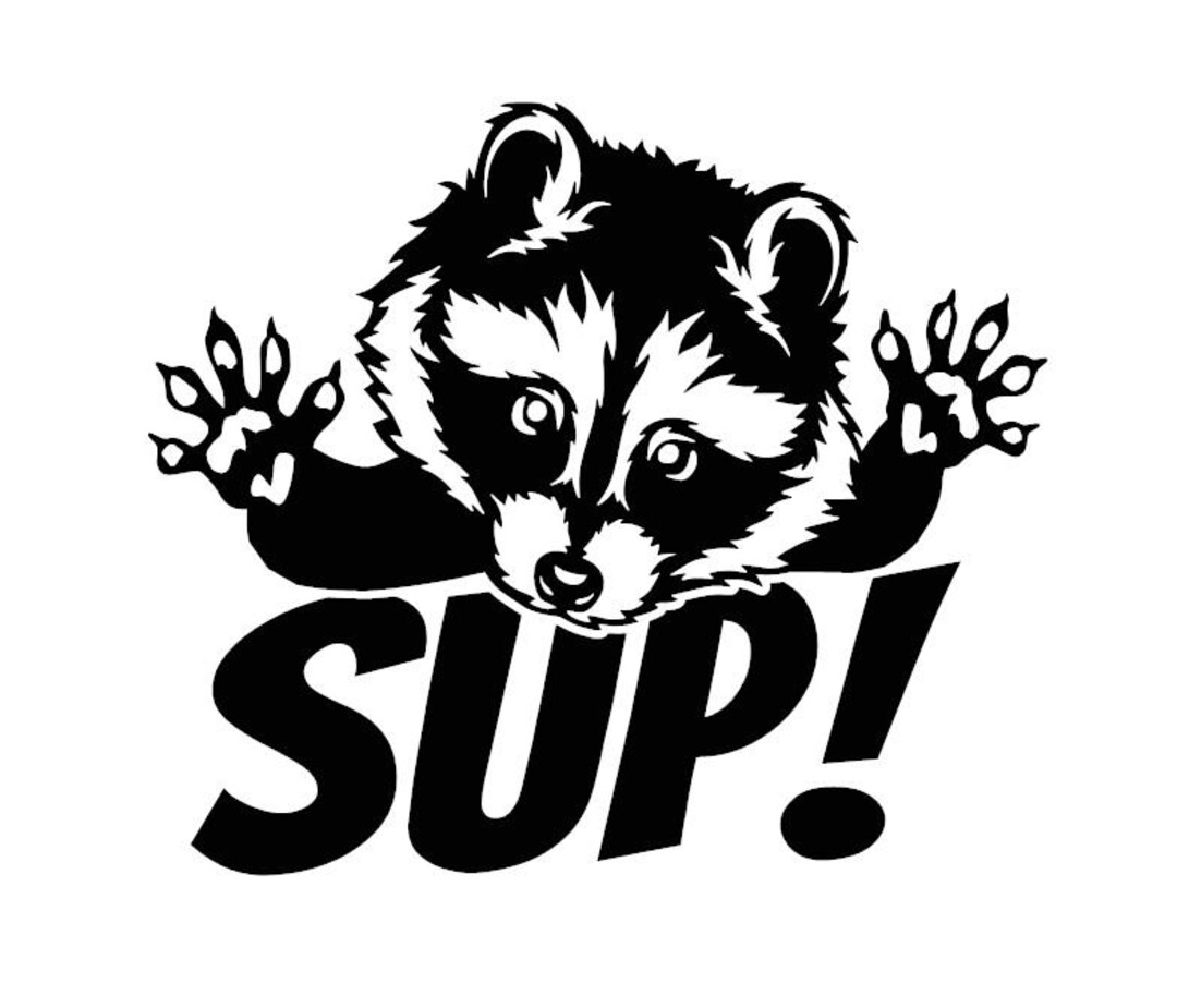 Sup Raccoon Decal - Sup Bruh - Multiple Colors & Sizes - Window - RV ...