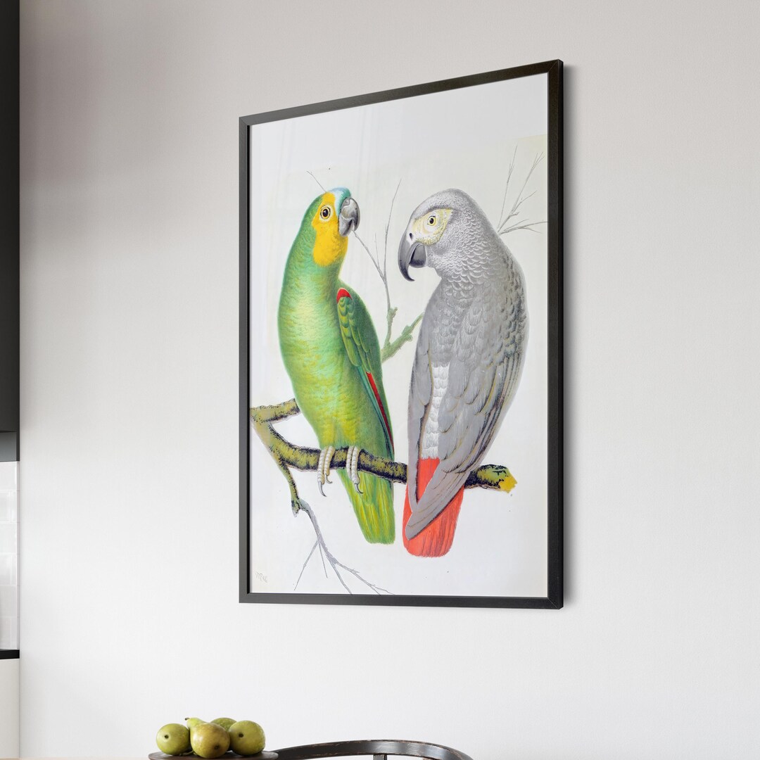 Japanese Parrot Art Print – Ito Jakuchu Inspired Botanical Bird Artwork ...