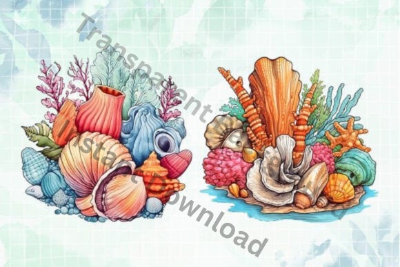 Watercolor Seashell Clipart, Colorful Shells, Ocean Sea Clipart, Summer ...