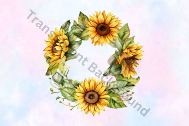 Watercolor Sunflowers Frame Clipart PNG Format Sunflower - Etsy