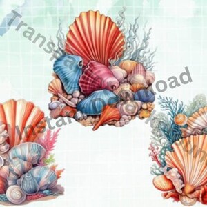 Watercolor Seashell Clipart, Colorful Shells, Ocean Sea Clipart, Summer ...