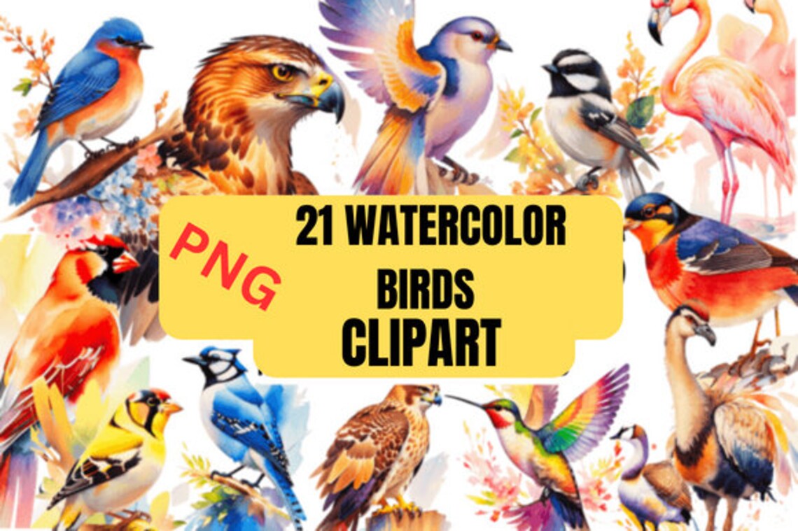 21 Watercolor Birds Clipart, Bird Clipart, Cute Birds, Spring Birds ...