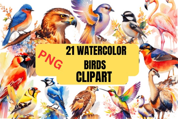 21 Watercolor Birds Clipart, Bird Clipart, Cute Birds, Spring Birds ...