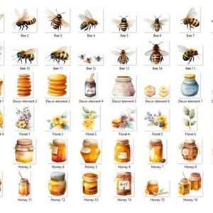 Watercolor Bee and Honey Clipart, Bees and Flowers Clipart, PNG Images ...