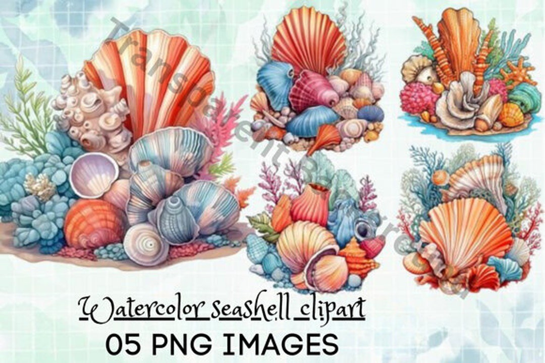 Watercolor Seashell Clipart, Colorful Shells, Ocean Sea Clipart, Summer ...