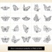 Butterfly SVG & PNG Line Art Bundle, Printable Art, Butterfly SVG for ...