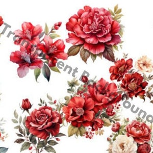 12 Red Flowers Watercolor Clipart PNG, Floral Clipart, Red Flowers PNG ...