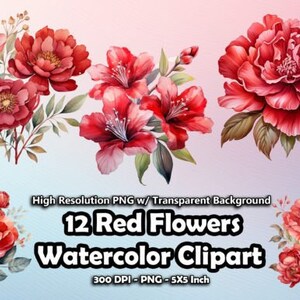 12 Red Flowers Watercolor Clipart PNG, Floral Clipart, Red Flowers PNG ...