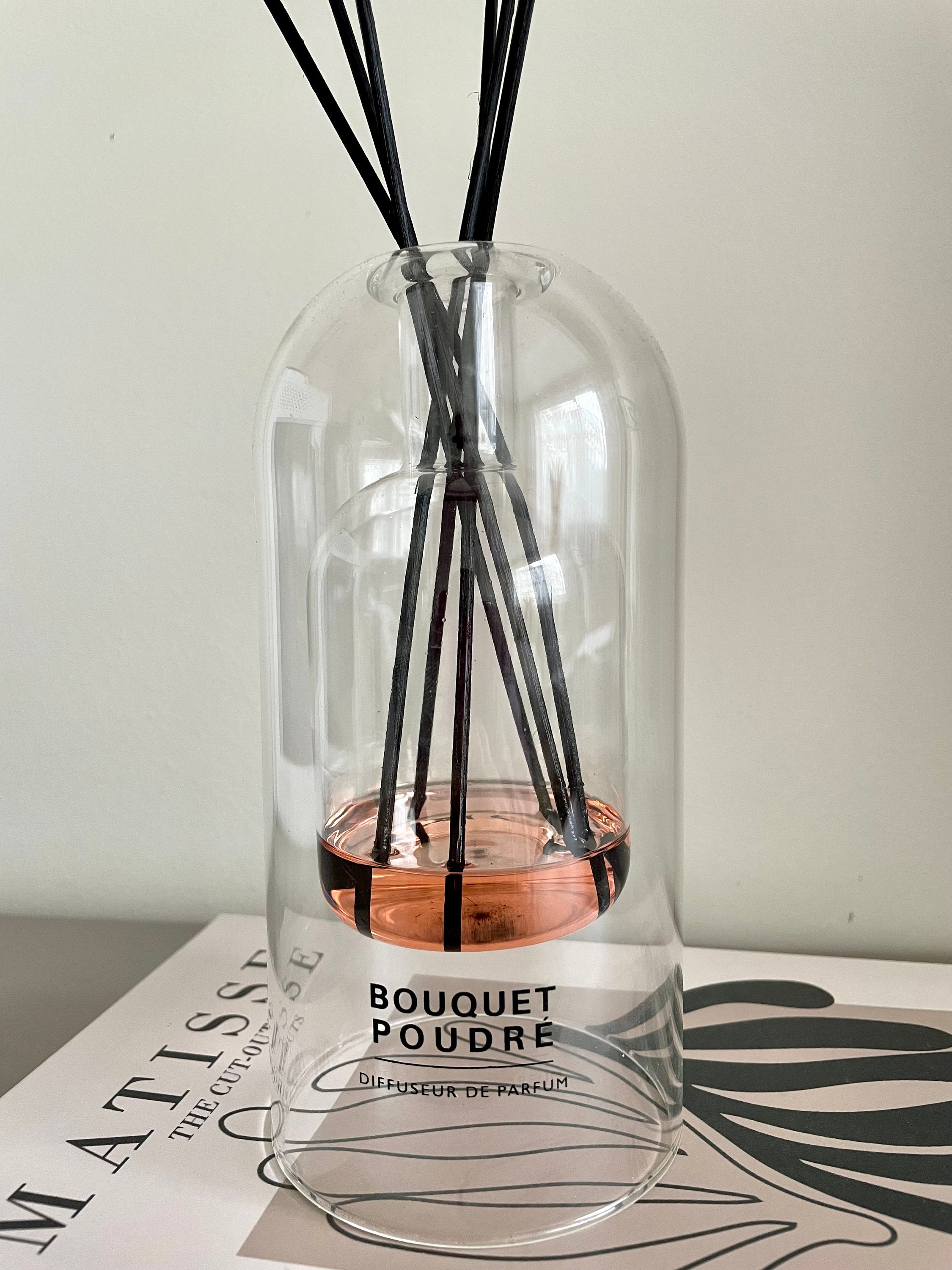 DIFFUSEUR DE PARFUM Reed Diffuser Home Fragrance Bottle With Sticks ...