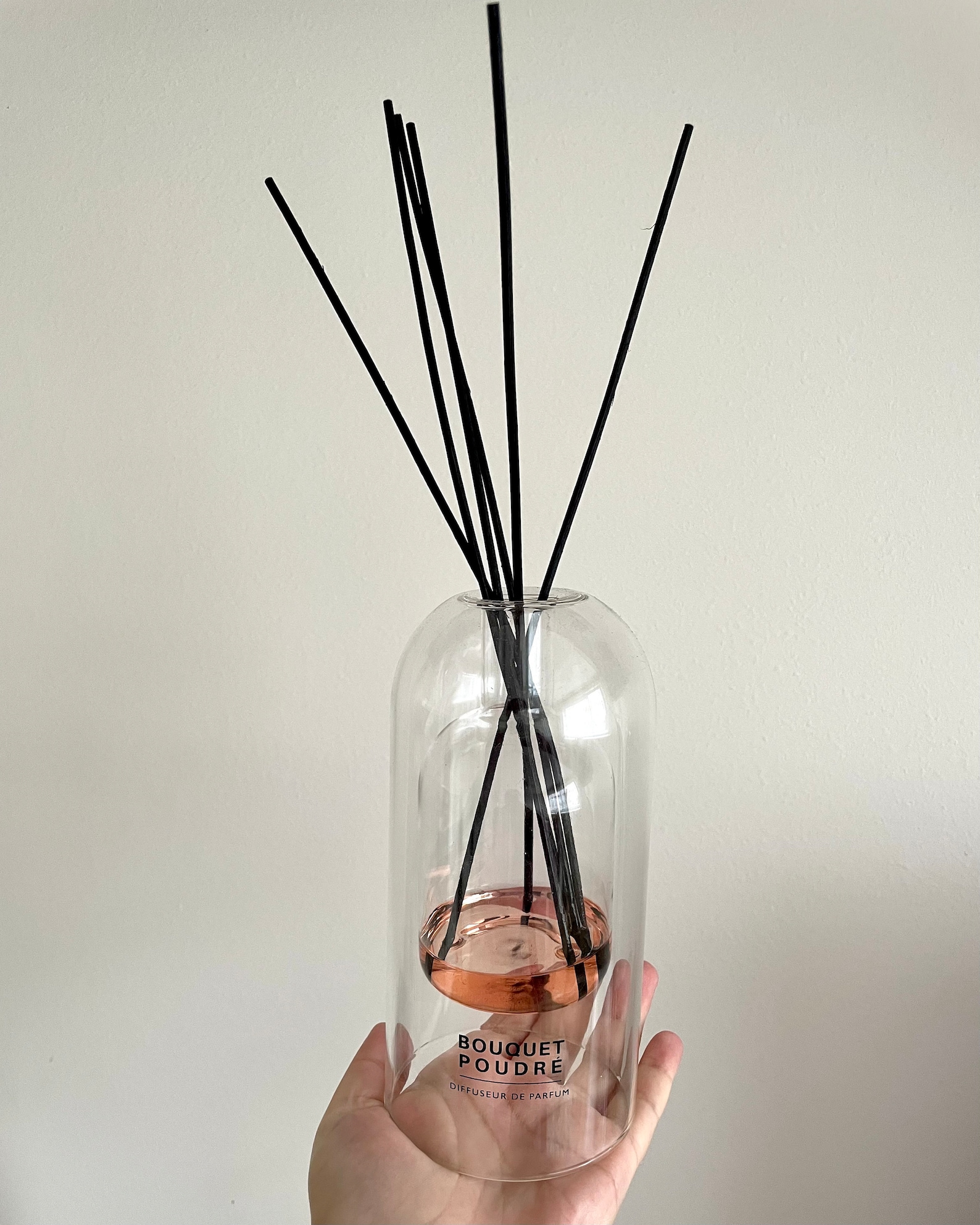 DIFFUSEUR DE PARFUM• Reed Diffuser• Home Fragrance Bottle With Sticks ...
