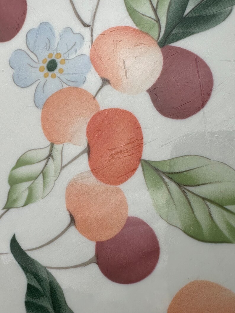 Villeroy & Boch 1748 Amigo "cherries, Leaves, and Flowers 14" Oval ...