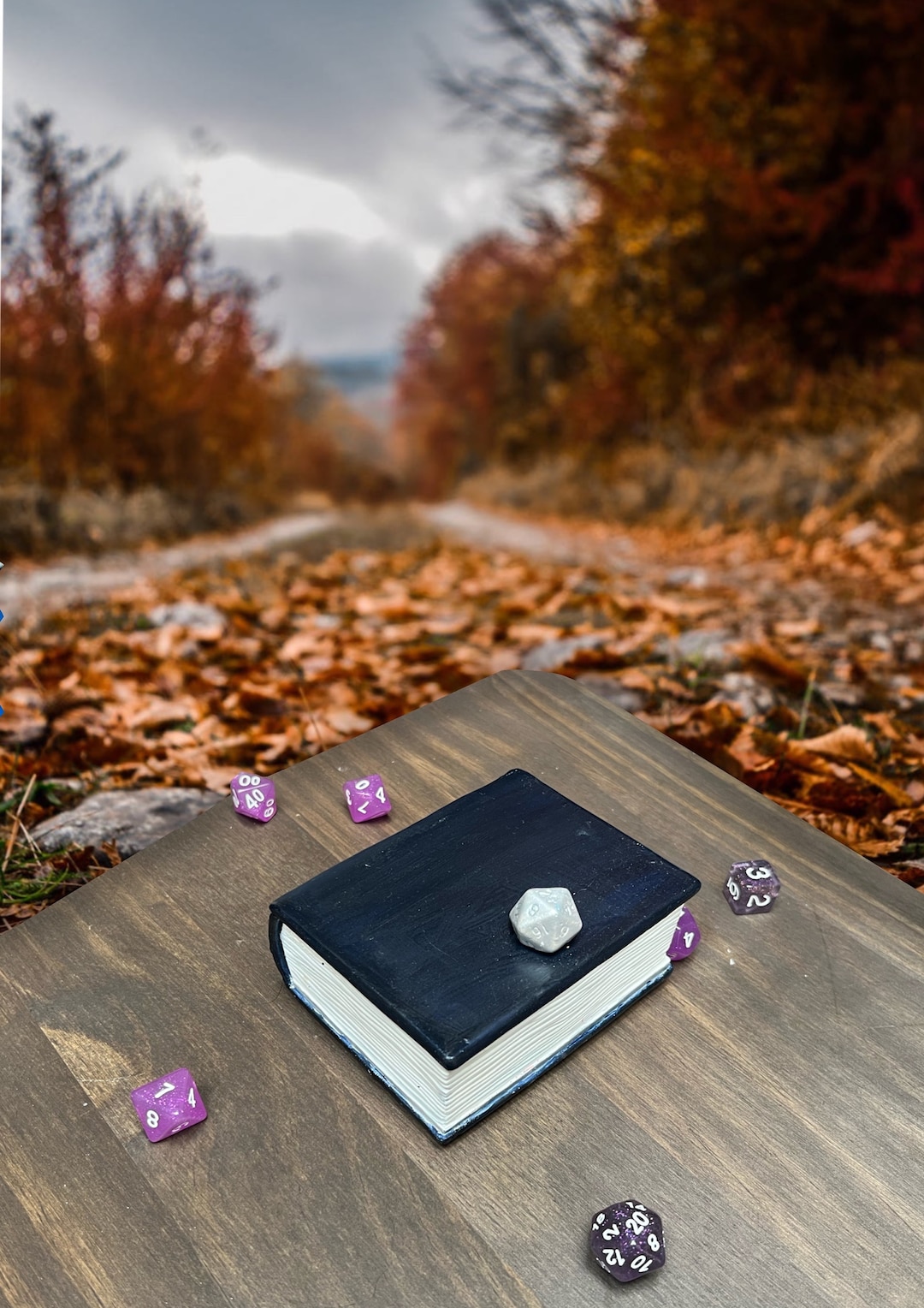 Book Effect Dice Box and Roll Tray | DND | D&D | Dungeons and Dragons ...