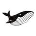 Whale Svg, Whales Svg, Whale Silhouette, Whale Svg Bundle, Whale Svg ...