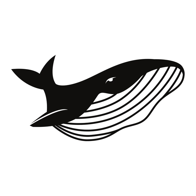 Whale Svg, Whales Svg, Whale Silhouette, Whale Svg Bundle, Whale Svg ...