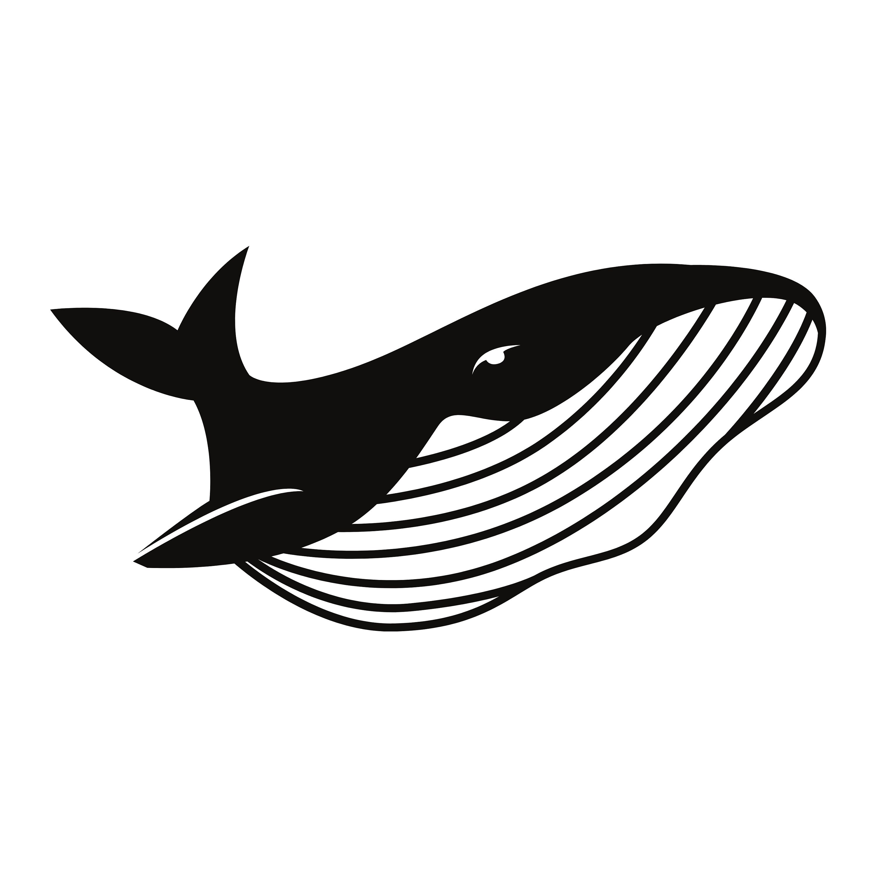 Whale Svg, Whales Svg, Whale Silhouette, Whale Svg Bundle, Whale Svg ...